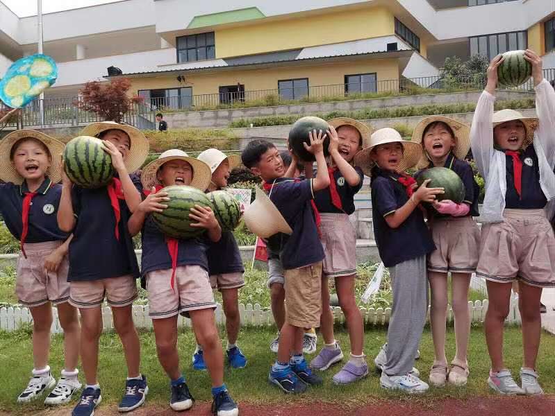 Students harvest watermelons at primary school