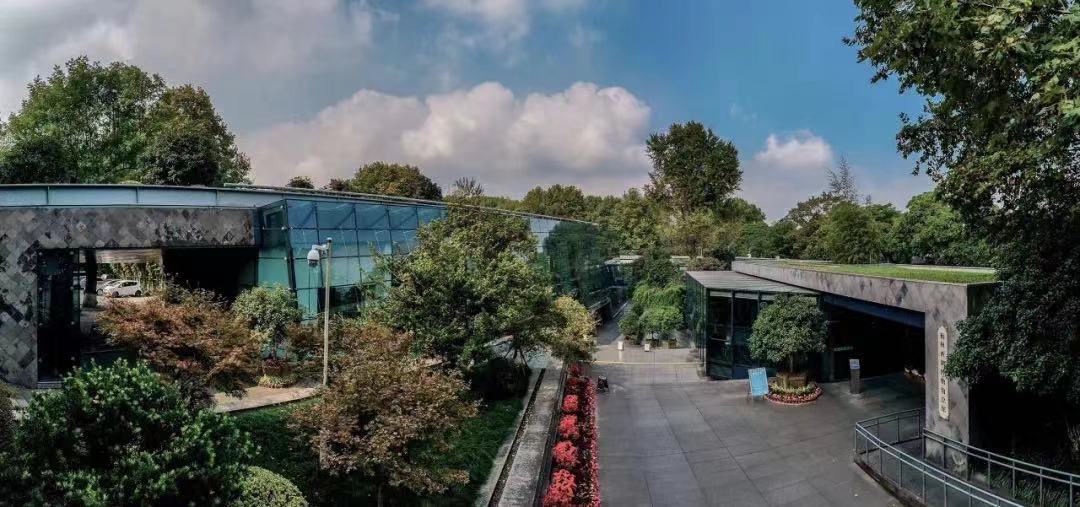 Museums limit visitor numbers