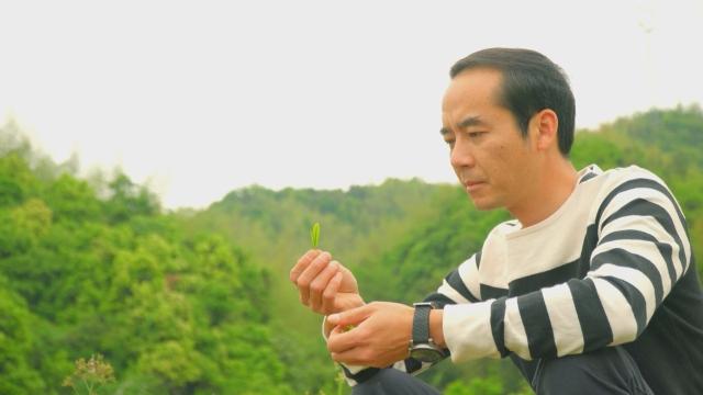 Businessman turns hometown tea into trendy brand