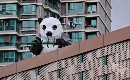 Two 'pandas' go viral in Hangzhou