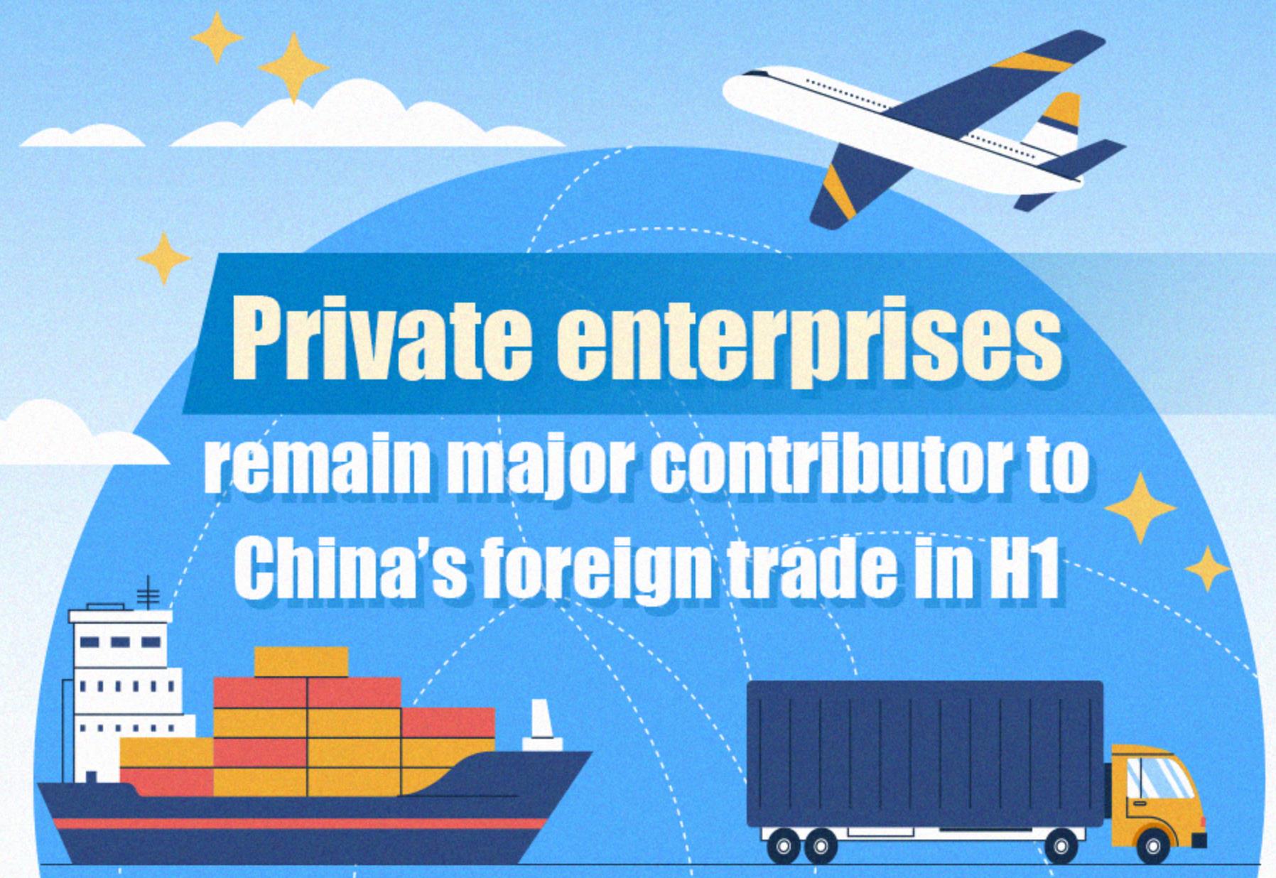 Private enterprises remain major contributor to China's foreign trade in H1