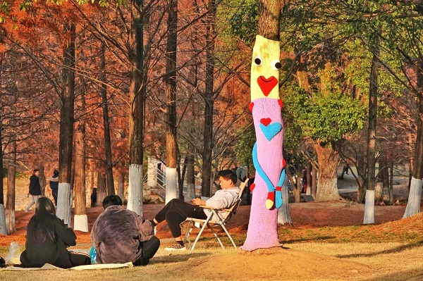 Trees in Xianghu Lake don colorful sweaters